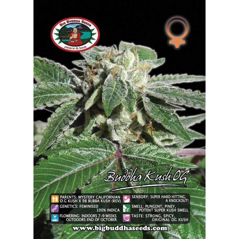 Buddha Kush Og (x4)